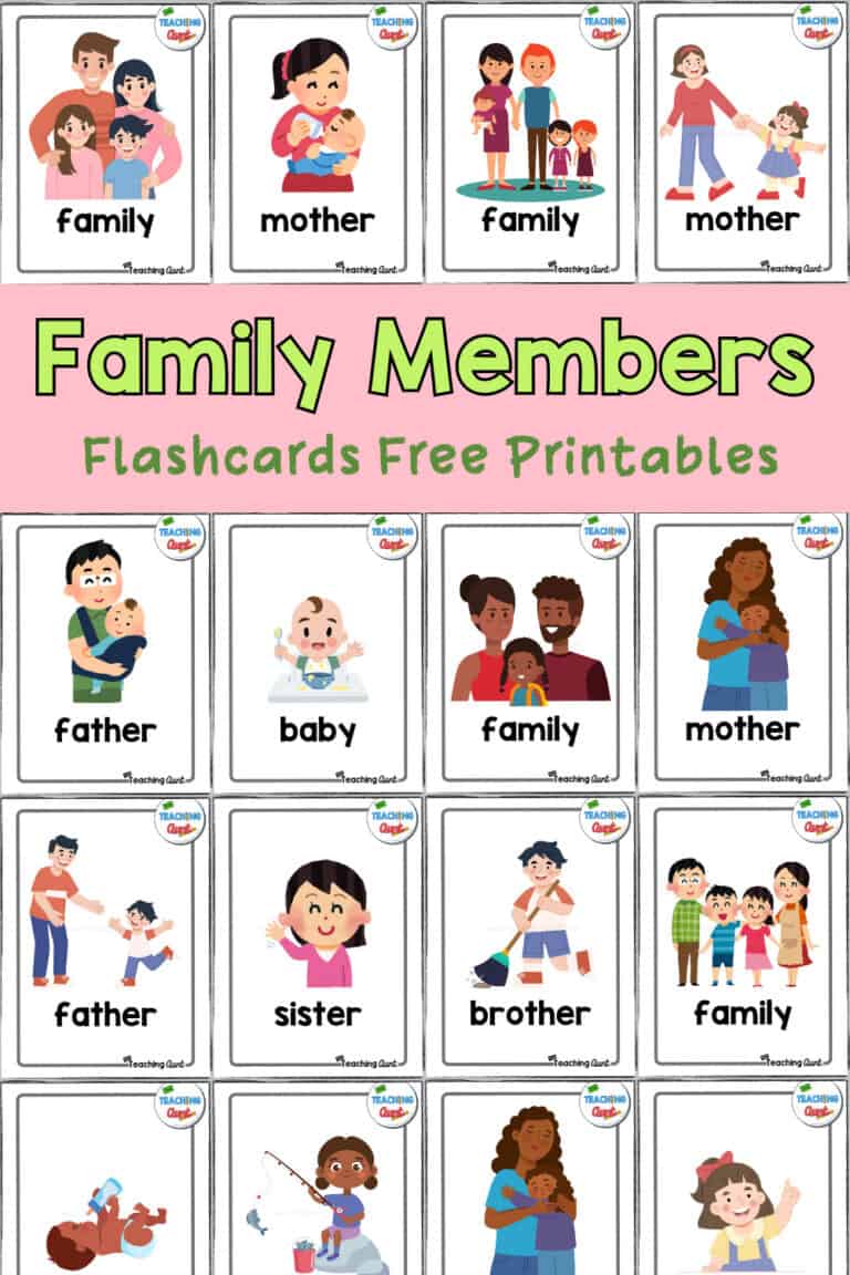 Family Flashcards - The Teaching Aunt