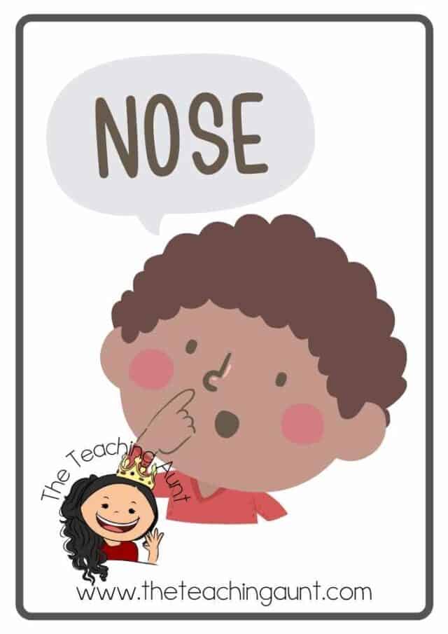 Free Parts of the Body Flashcards - The Teaching Aunt