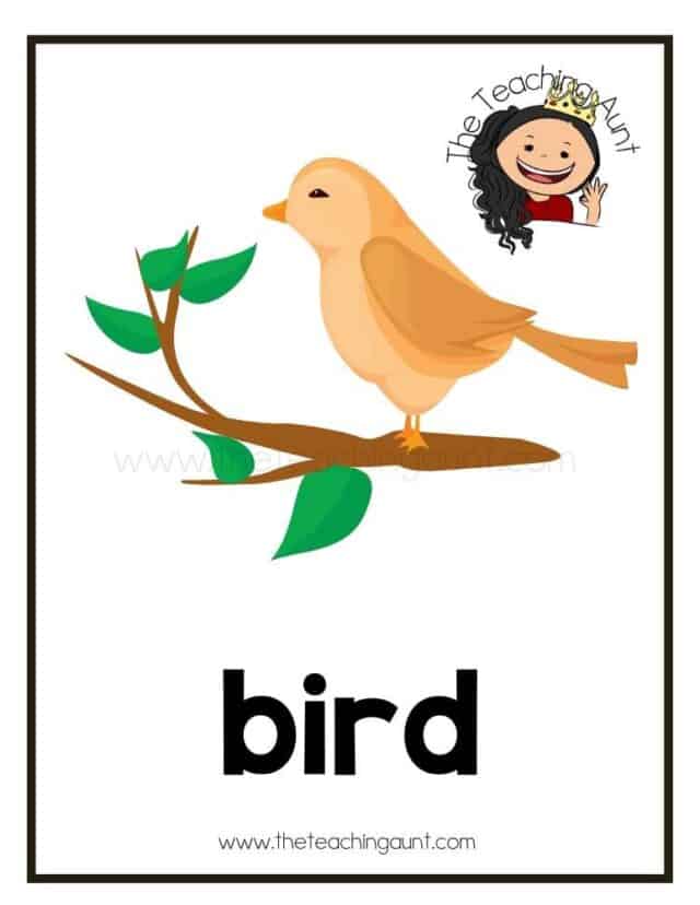 Animal Flashcards - The Teaching Aunt