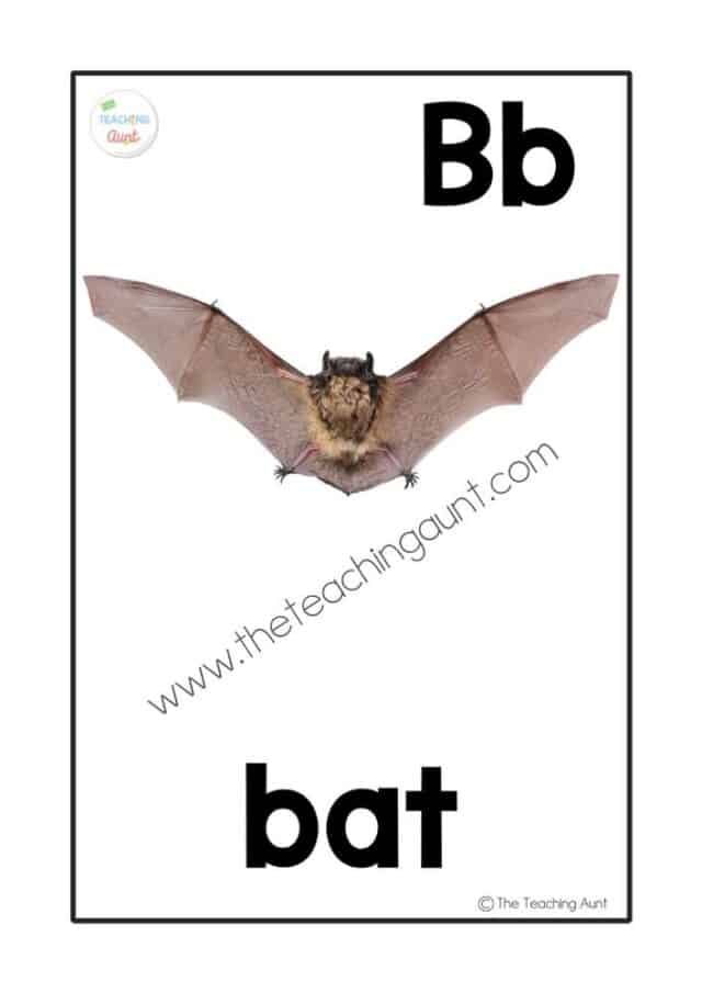 Alphabet Flashcards - The Teaching Aunt