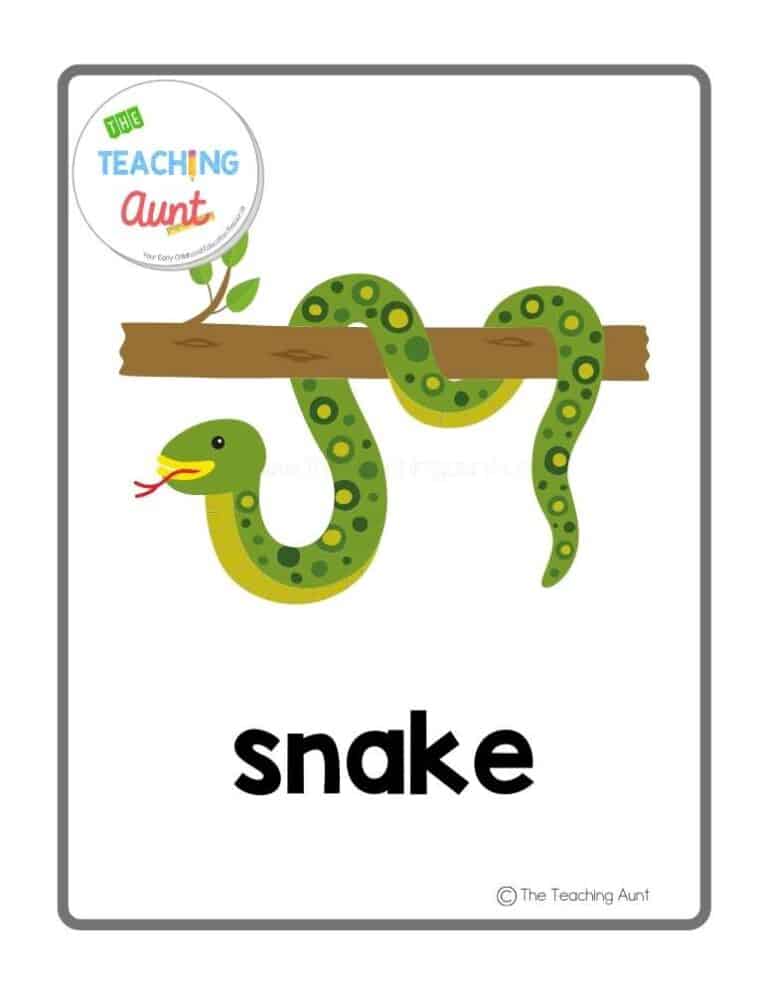 Wild Animals Flashcards - The Teaching Aunt