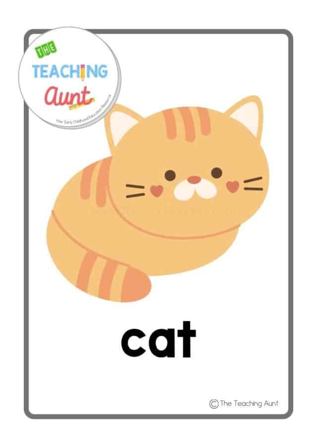 Pet Animals Flashcards - The Teaching Aunt