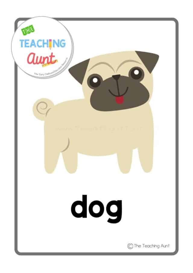 Pet Animals Flashcards - The Teaching Aunt