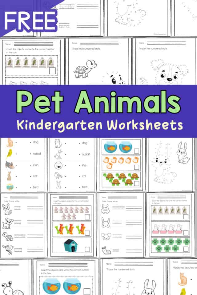 Pet Animals Worksheets - The Teaching Aunt