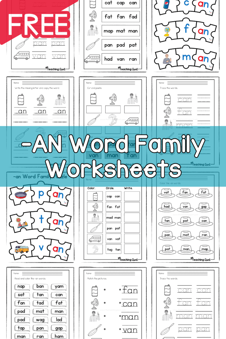 AN Word Family Worksheets - The Teaching Aunt