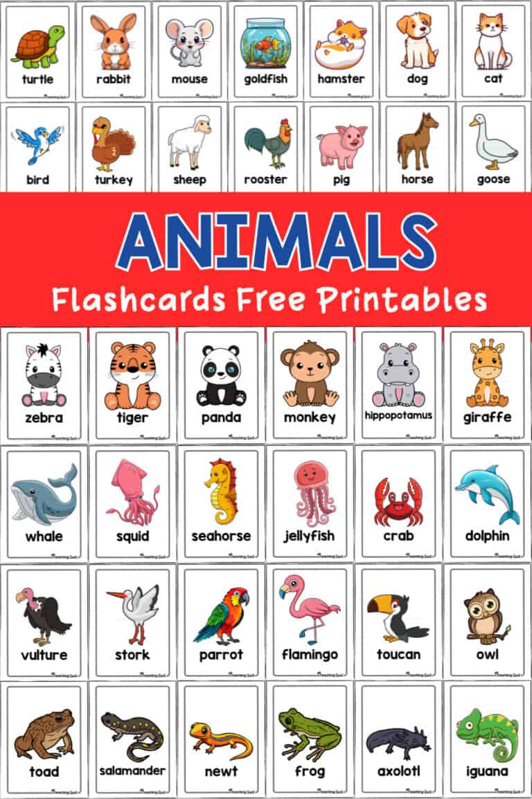 Animal Flashcards - The Teaching Aunt