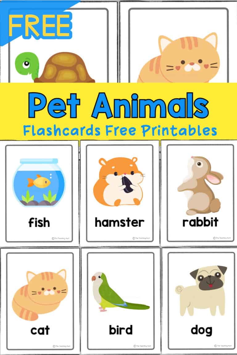 Pet Animals Flashcards - The Teaching Aunt