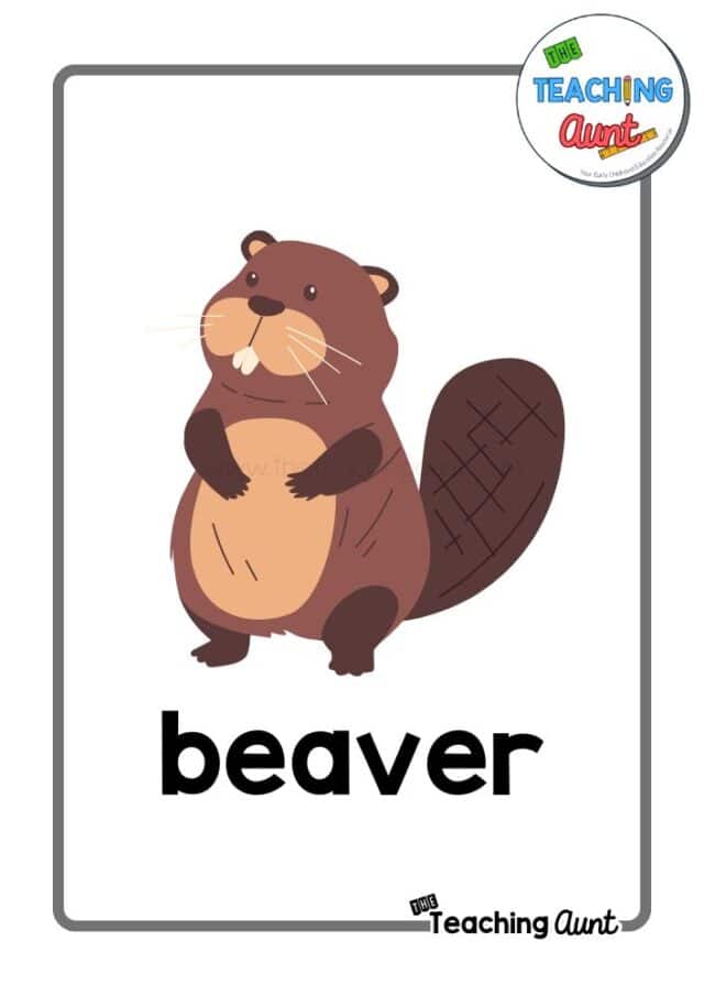 Animal Flashcards - The Teaching Aunt