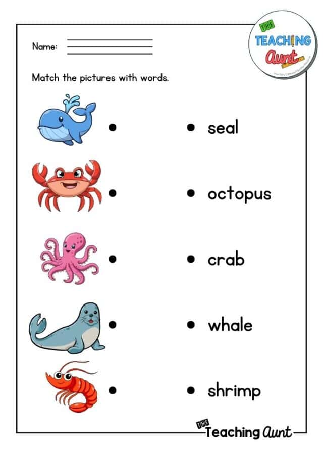 Sea Animals Worksheets - The Teaching Aunt