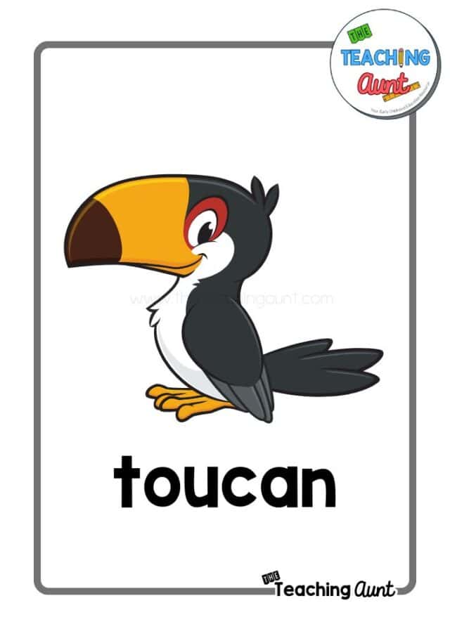 Animal Flashcards - The Teaching Aunt