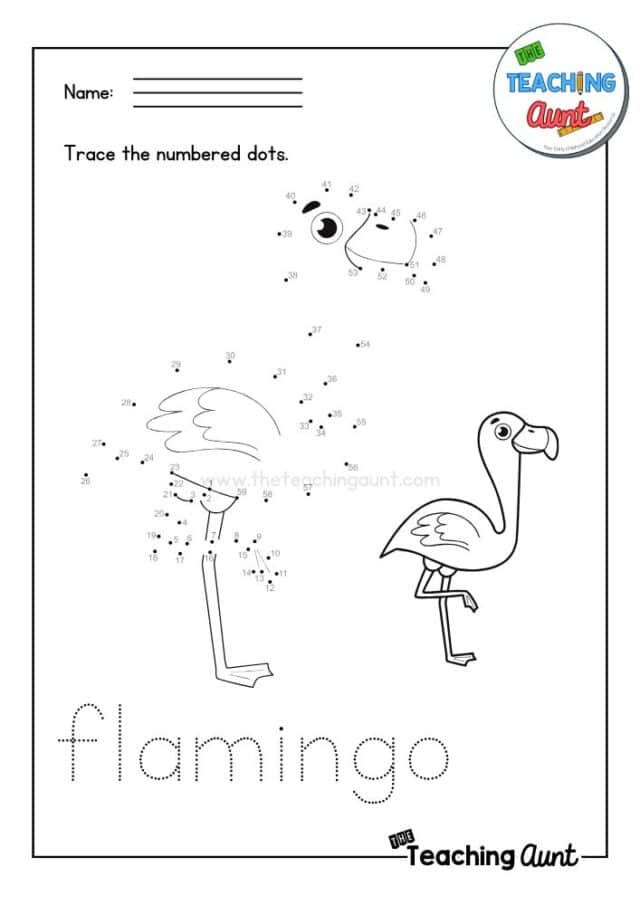 Wild Animals Worksheets - The Teaching Aunt