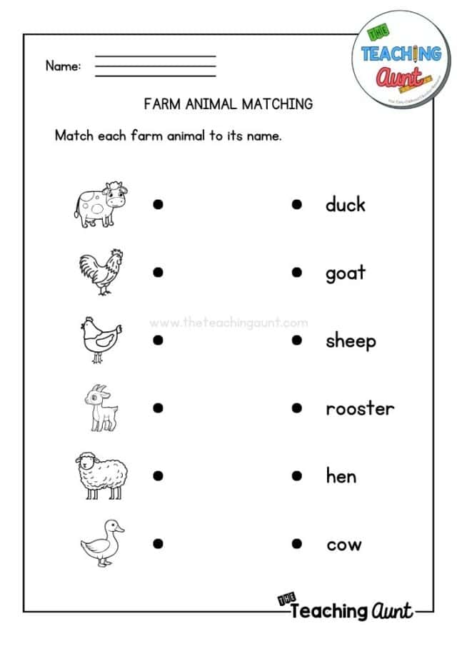 Animals Worksheets - The Teaching Aunt