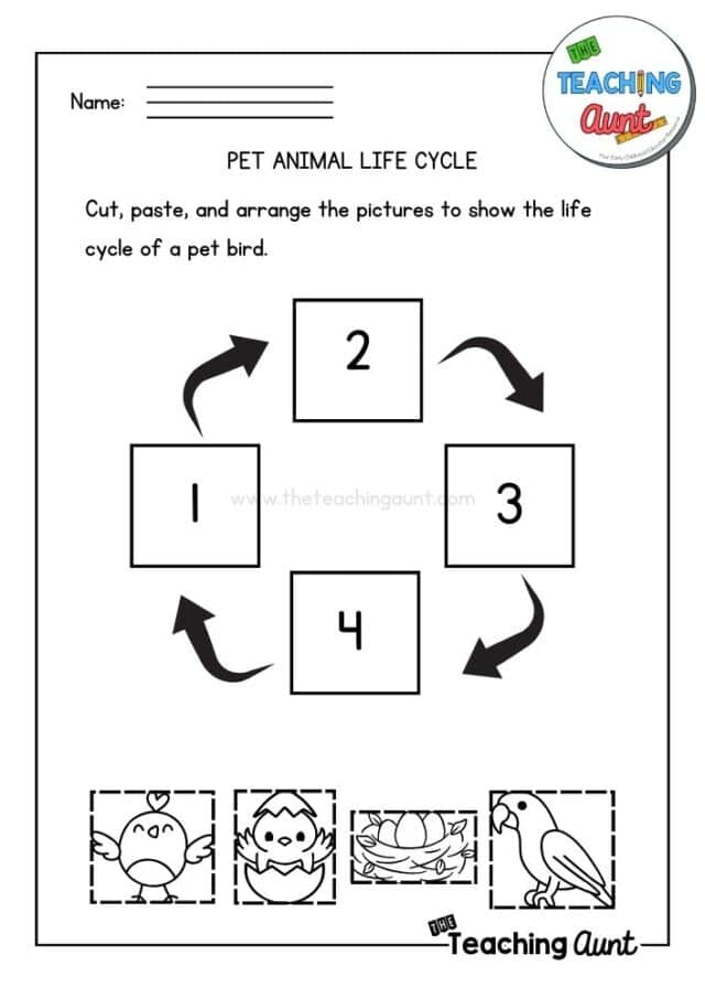Animals Worksheets - The Teaching Aunt