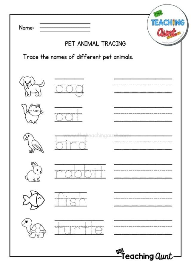 Animals Worksheets - The Teaching Aunt