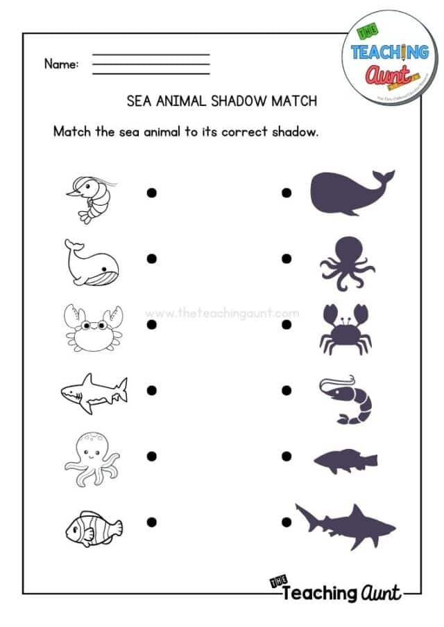 Animals Worksheets - The Teaching Aunt