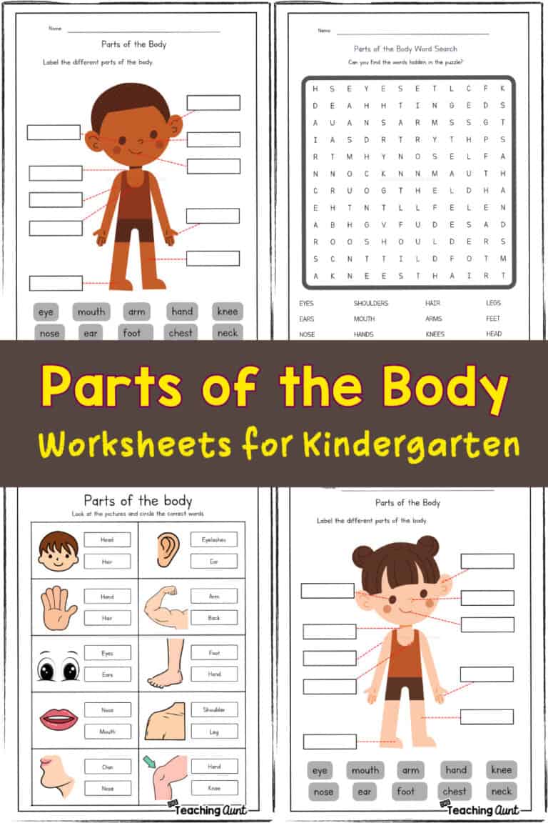 Parts of the Body Worksheets - The Teaching Aunt